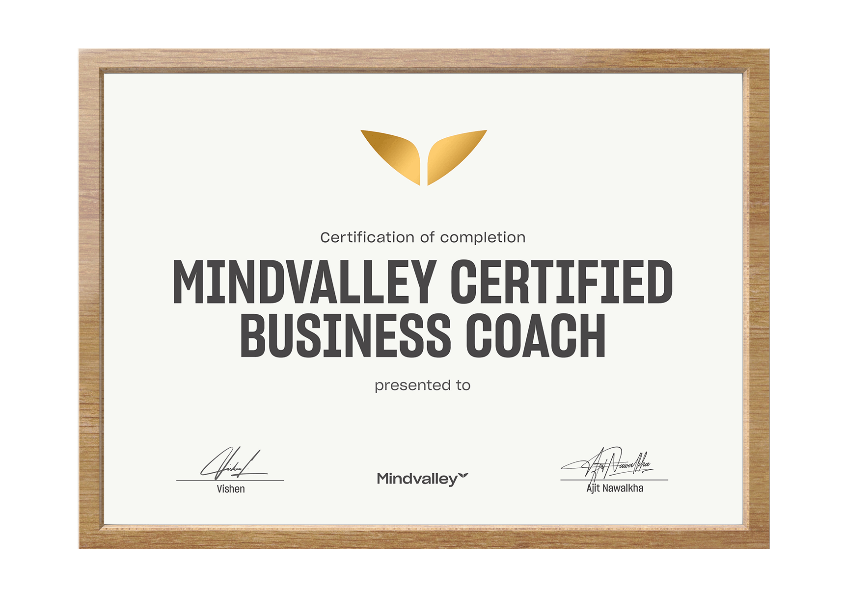 Become a Certified Business Coach | Mindvalley