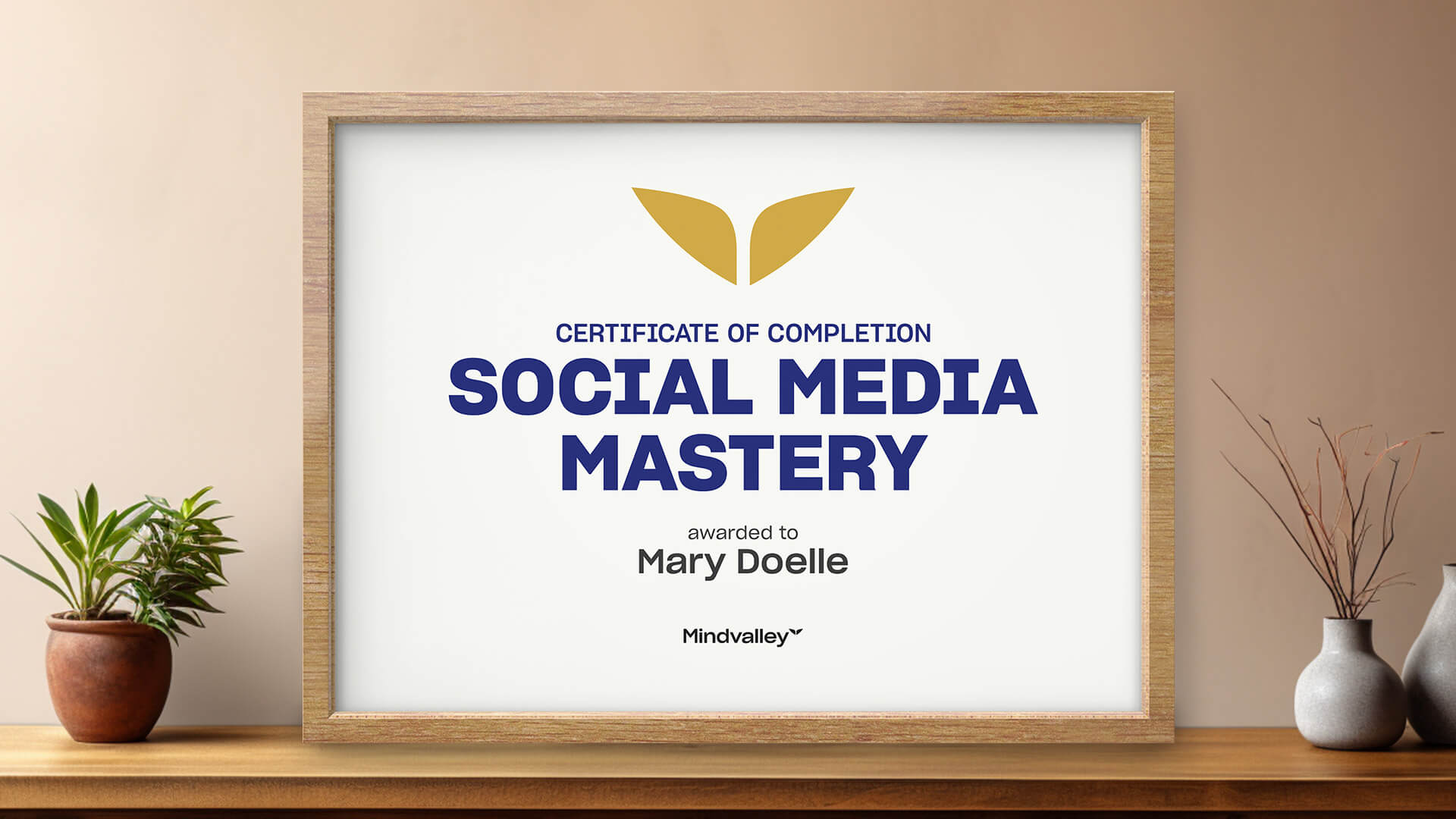 Social Media Certification Mastery by Mindvalley