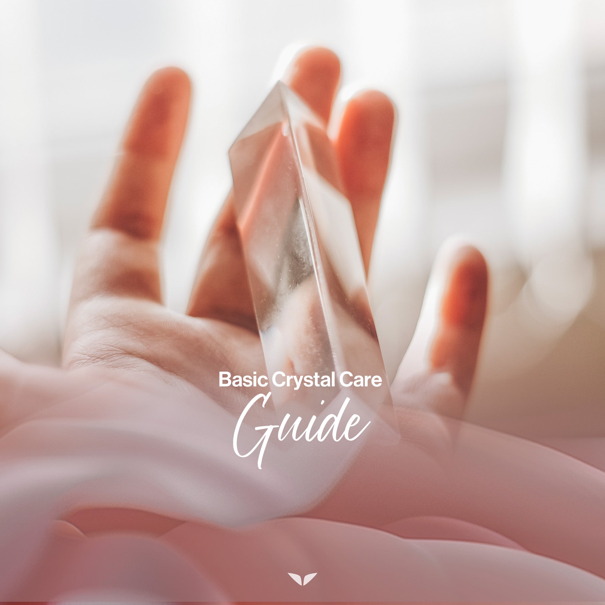 Forgiveness: Find Inner Peace and Restart Your Life